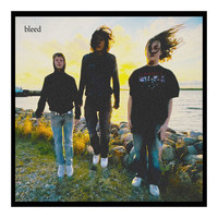 Bleed Song Download: Play & Listen Bleed all MP3 Song by Ashes of Billy ...