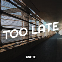 Too Late Song Download: Play & Listen Too Late all MP3 Song by KNOTE @Gaana