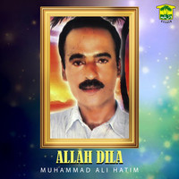 Allah Dila Songs Download: Play & Listen Allah Dila Urdu MP3 Song by Muhammad Ali Hatim @Gaana