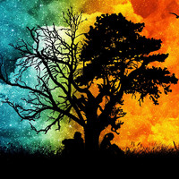 The Silhouette Song Download: Play & Listen The Silhouette all MP3 Song ...