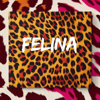 Felina Song Download: Play & Listen Felina Spanish MP3 Song by YSY ...