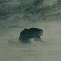 Pillars in Half Light MP3 Song Download: Play & Download New Pillars in ...