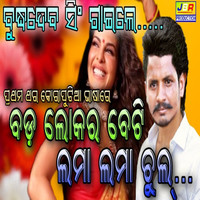Bodo Lokar Beti Lamba Lamba Chull Song Download: Play & Listen Bodo ...