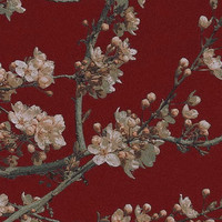 Thank God Song Download: Play & Listen Thank God all MP3 Song by AmiiFy ...