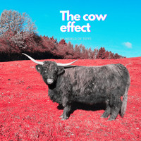 The Cow Effect Song Download: Play & Listen The Cow Effect all MP3 Song ...