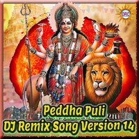 Peddha Puli (DJ Remix Song Version 14) MP3 Song Download: Play ...