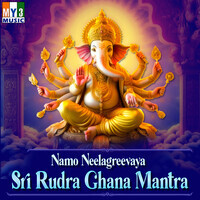Sri Rudra Ghana Mantra Namo Neelagreevaya Song Download: Play & Listen ...