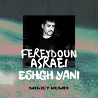 Eshgh Yani Song Download: Play & Listen Eshgh Yani Farsi MP3 Song by ...