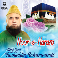 Noor-e-Haram Songs Download: Play & Listen Noor-e-Haram Urdu MP3 Song ...