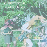 Crawling the Wall Song Download: Play & Listen Crawling the Wall all ...