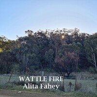 Wattle Fire Song Download: Play & Listen Wattle Fire English MP3 Song ...