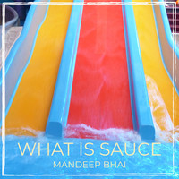 What Is Sauce Song Download: Play & Listen What Is Sauce all MP3 Song ...