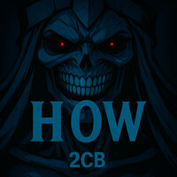 How Song Download: Play & Listen How German MP3 Song by 2C-B @Gaana