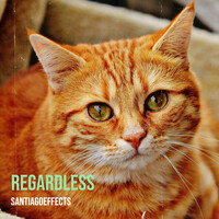 Regardless Song Download: Play & Listen Regardless all MP3 Song @Gaana