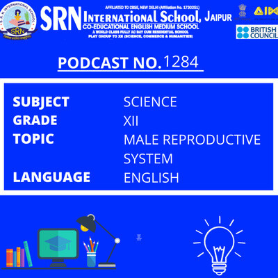 Biology (Grade XII) Male Reproductive System Song||SRN International ...