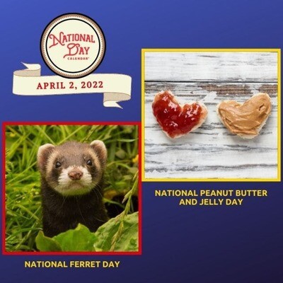 April 2, 2022 - National Ferret Day | National Peanut Butter And Jelly ...