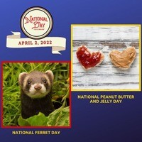 April 2, 2022 - National Ferret Day | National Peanut Butter And Jelly ...