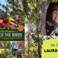 Ep 1054: Seg3 of S7E15 Guest Laura Erickson all about birds -The ...