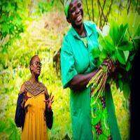 The tree-growing movement restoring Africa's vital landscapes | Wanjira ...