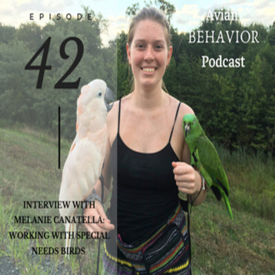 42 Special needs and Aggressive Parrots with Melanie Canatella Song||The Avian Behavior Podcast ...