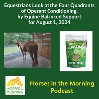 Equestrians Look at the Four Quadrants of Operant Conditioning, by ...
