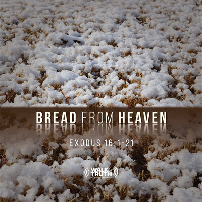 Bread From Heaven - Part 2 MP3 Song Download by Michael Lantz (Walk in Truth - season - 1 ...