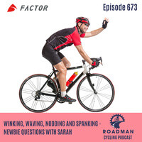 Winking, Waving, Nodding and Spanking - Newbie Questions With Sarah ...