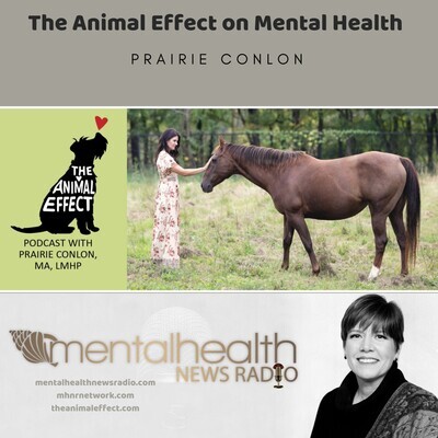 The Animal Effect on Mental Health with Prairie Conlon MP3 Song ...