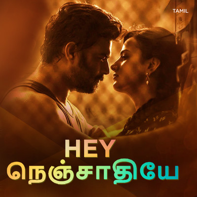 Hey Nenjathiye Music Playlist: Best Hey Nenjathiye MP3 Songs on Gaana.com