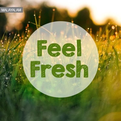 Feel Fresh Music Playlist: Best Feel Fresh MP3 Songs on Gaana.com
