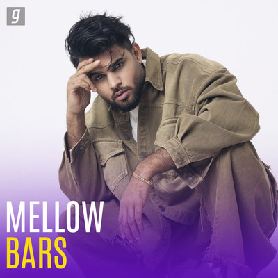 Mellow Bars Music Playlist: Best Mellow Bars MP3 Songs on Gaana.com