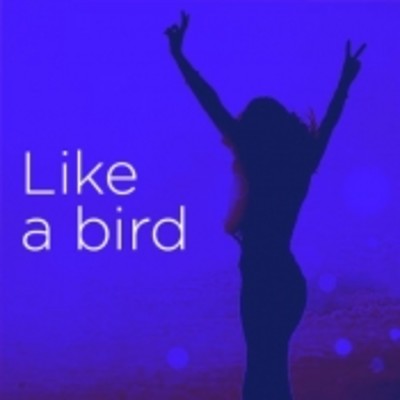 Like a Bird Music Playlist: Best Like a Bird MP3 Songs on Gaana.com
