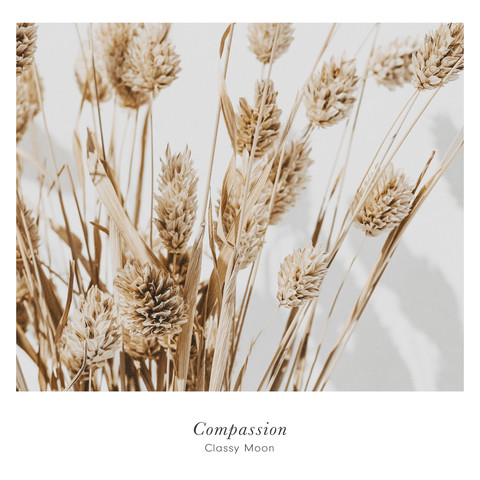 Compassion Song Download: Compassion MP3 Song Online Free on Gaana.com