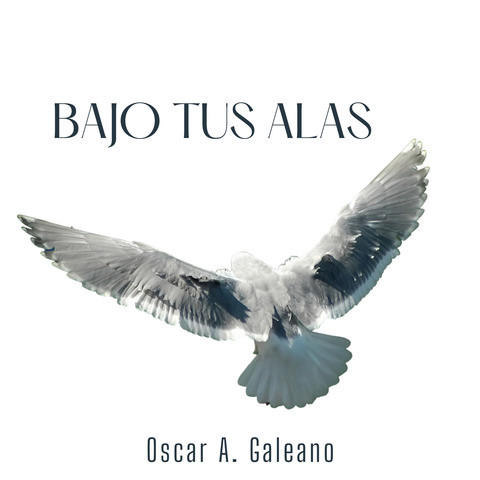Bajo Tus Alas Song Download: Bajo Tus Alas MP3 Spanish Song Online Free ...