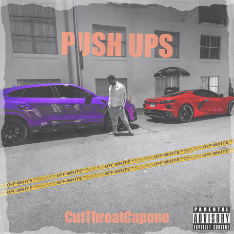 Push Ups Song Download: Push Ups MP3 Song Online Free on Gaana.com