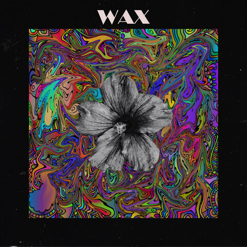 Wax Songs Download: Wax MP3 Songs Online Free on Gaana.com
