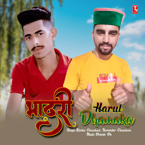 Bhadri Harul Dhamaka Song Download: Bhadri Harul Dhamaka MP3 Himachali ...
