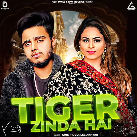 Tiger Zinda Hai Song Download: Tiger Zinda Hai MP3 Haryanvi Song Online ...