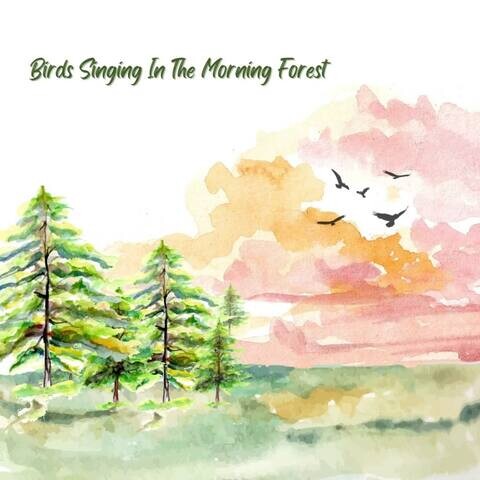 Birds Singing In The Morning Forest Song Download Birds Singing In The