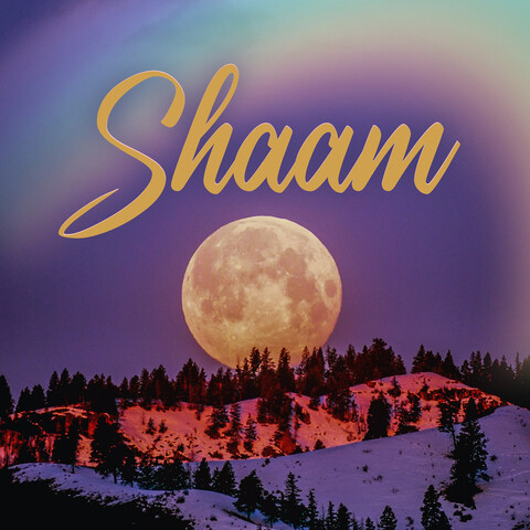 Shaam Song Download: Shaam MP3 Song Online Free on Gaana.com