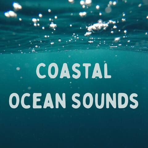 Coastal Ocean Sounds Song Download: Coastal Ocean Sounds MP3 ...