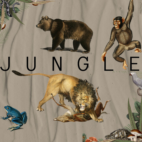 Jungle Song Download: Jungle MP3 Song Online Free on Gaana.com