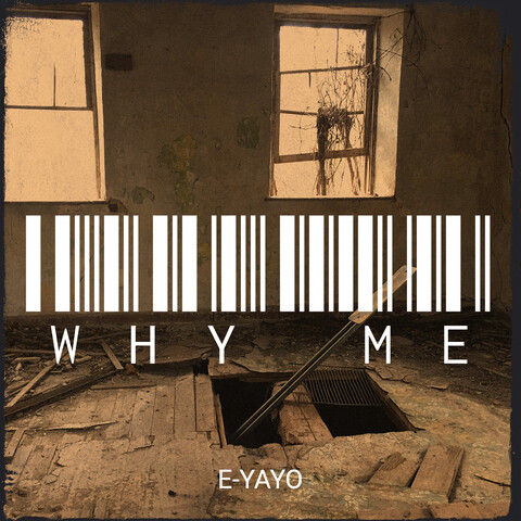 Why Me Song Download: Why Me MP3 Song Online Free on Gaana.com
