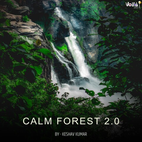 Calm Forest 2.0 Song Download: Calm Forest 2.0 MP3 Instrumental Song ...