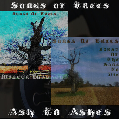 Ash to Ashes Songs Download: Ash to Ashes MP3 Songs Online Free on Gaana.com