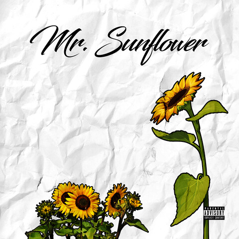 Mr SunFlower Songs Download: Mr SunFlower MP3 Songs Online Free on ...