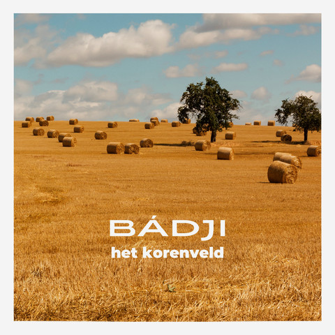 Het korenveld Song Download: Het korenveld MP3 Dutch Song Online Free ...