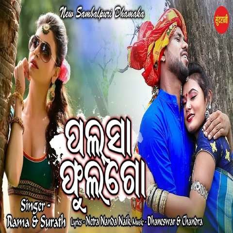 Palsa Phula Go Song Download: Palsa Phula Go MP3 Odia Song Online Free ...