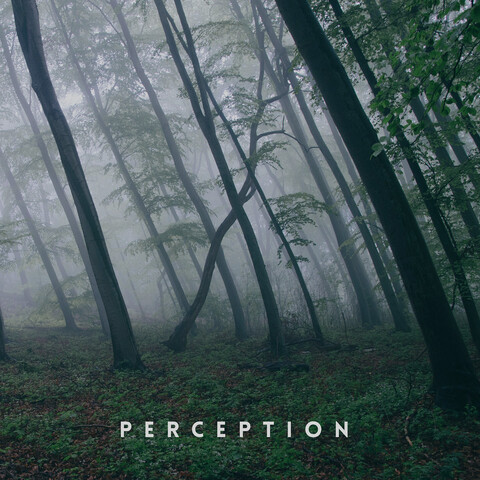 Perception Songs Download: Perception MP3 Songs Online Free on Gaana.com