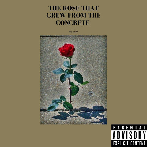 The Rose That Grew from the Concrete Songs Download: The Rose That Grew ...